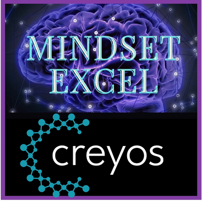 Mindset Excel